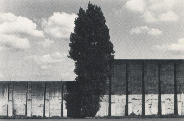 National Museum of Modern and Contemporary Art, Korea